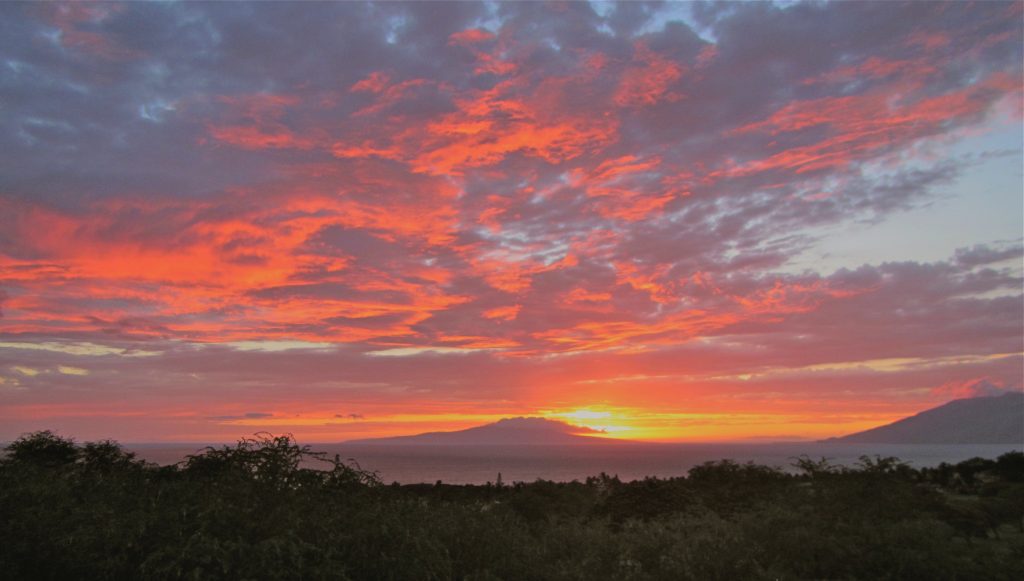 Father Theophane Stories for Dipa Ma - Dipa Ma
