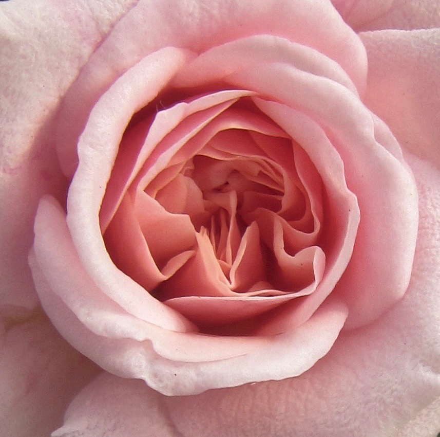 Father Theophane Stories for Dipa Ma - Dipa Ma